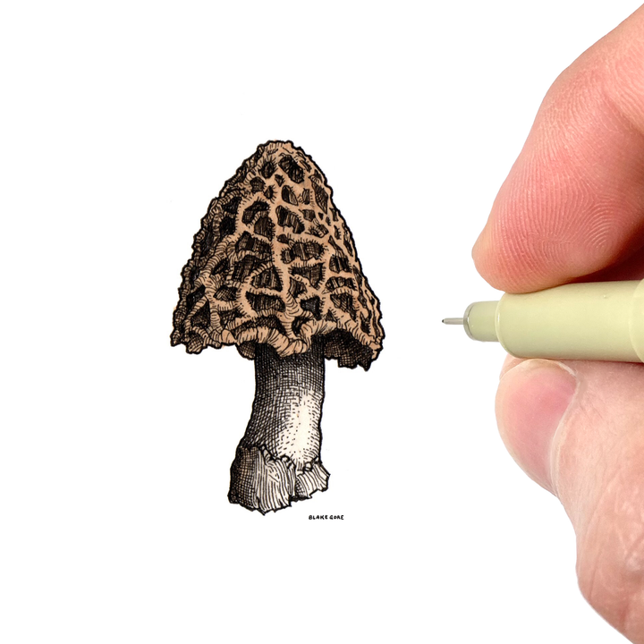 Blake Gore Miniature Art: Hand Drawn Visual Art Using No Magnification