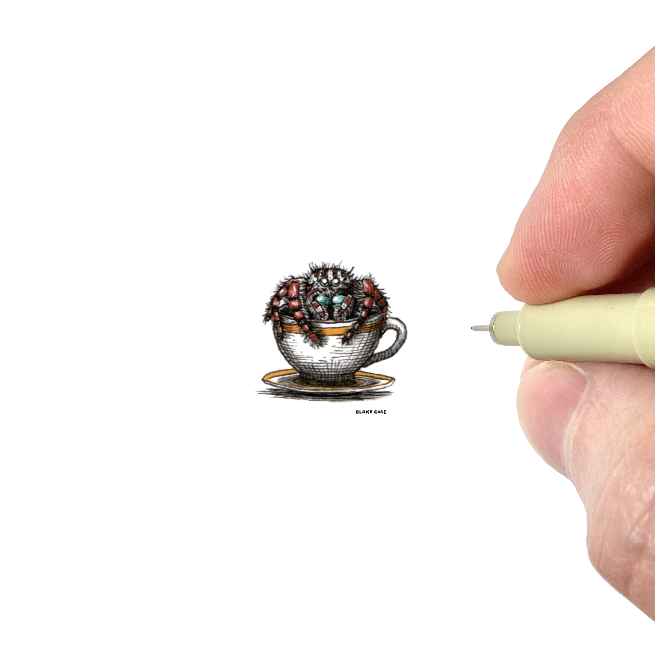 Teacup Spider, Miniature Artwork by Blake Gore – Blake Gore Miniature Art